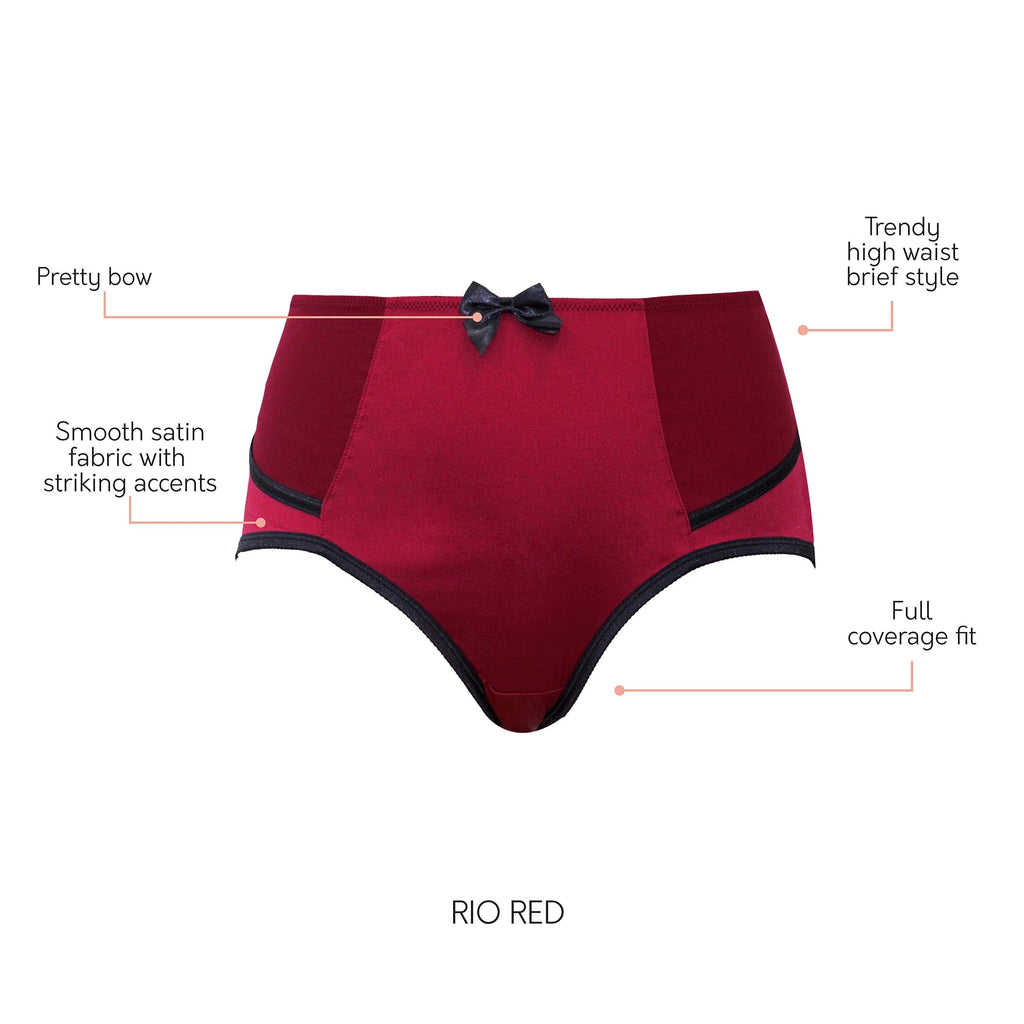 PARFAIT Charlotte 6917 Women's Full Figured Curvy High Waist Brief Vin ...